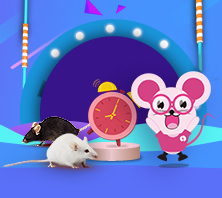 Knockout & Knockin Mouse/Rat Models | Cyagen APAC
